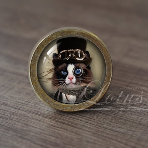 Steampunk Cat Cabinet Knobs - Etsy