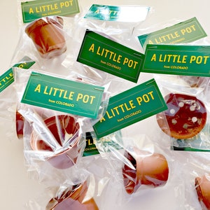 A Little Pot From Colorado - Pack of 10 - Party Favor - Gag Gift - Fun ...