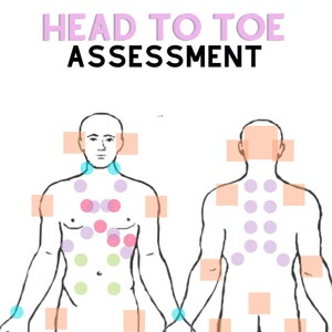 5 Minute Head to Toe Assessment Cheat Sheet - Etsy Canada