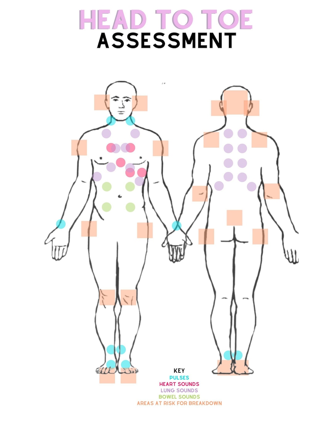 5 Minute Head to Toe Assessment Cheat Sheet - Etsy Canada