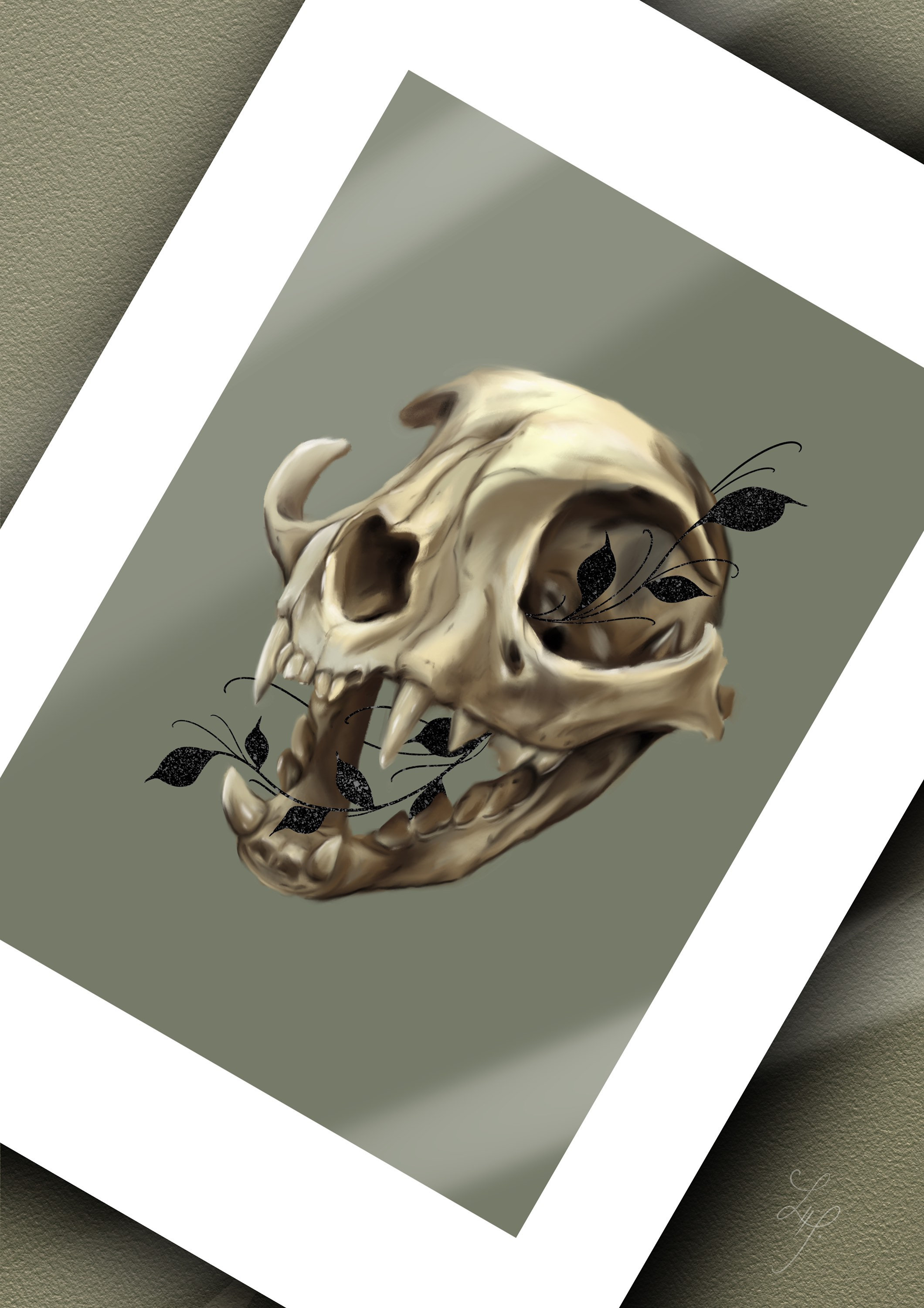 Cat Skull Drawing Front