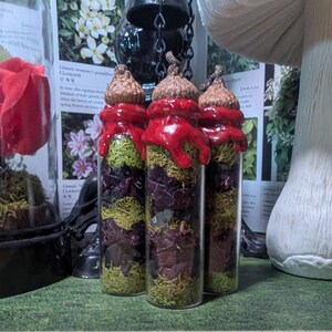 DARK FAE ATTRACTION Bottle ~ Pagan, Wiccan, Faerie, Fairy, Witch, Spell ...