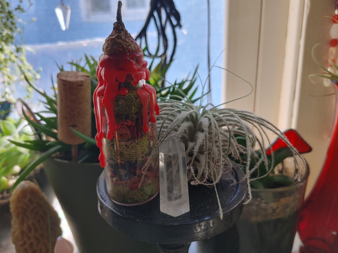 DARK FAE ATTRACTION Bottle Pagan Wiccan Faerie Fairy - Etsy