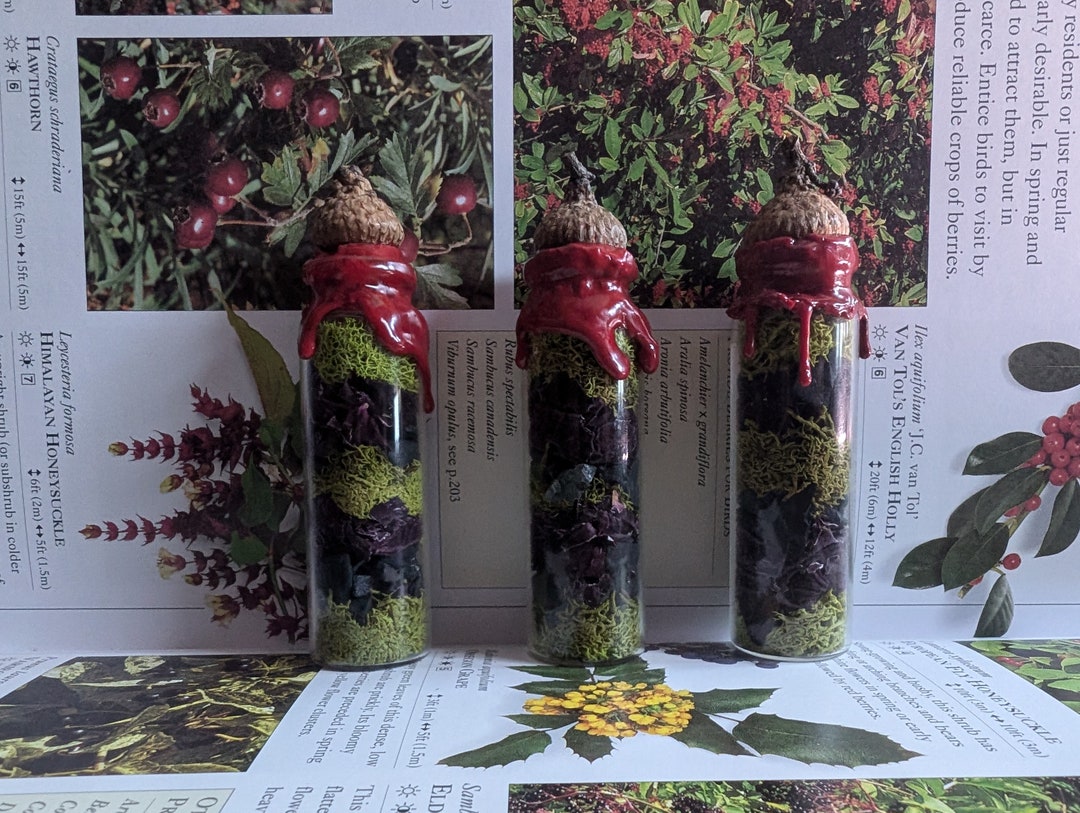 DARK FAE ATTRACTION Bottle ~ Pagan, Wiccan, Faerie, Fairy, Witch, Spell ...