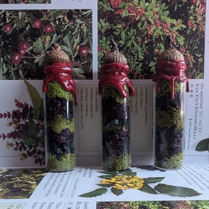 DARK FAE ATTRACTION Bottle ~ Pagan, Wiccan, Faerie, Fairy, Witch, Spell ...