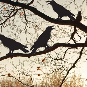 All-weather Plastic Ravens Set of 6 - Etsy