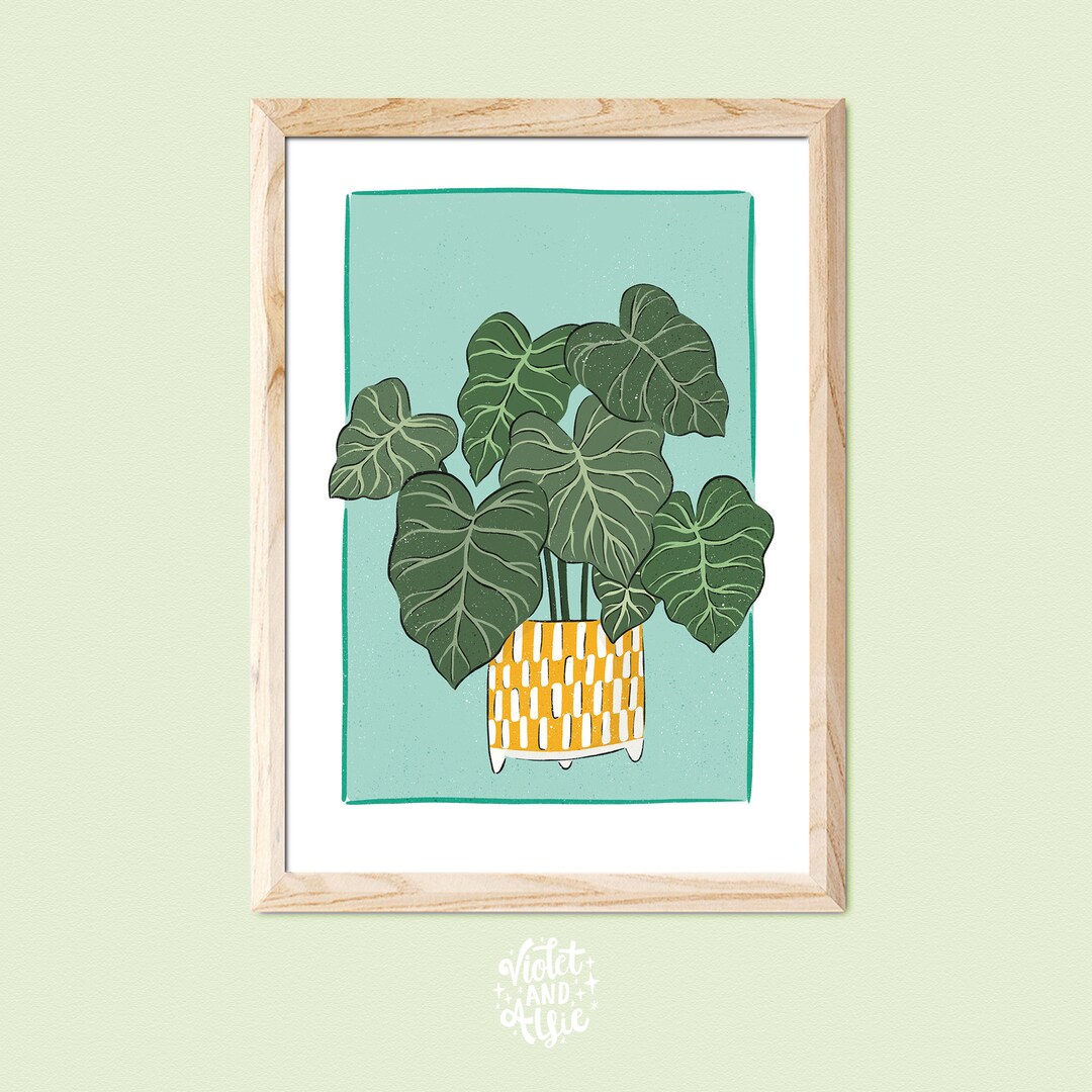 Houseplant Print Unframed A5 A4 A3 Modern Botanical Print Plant ...