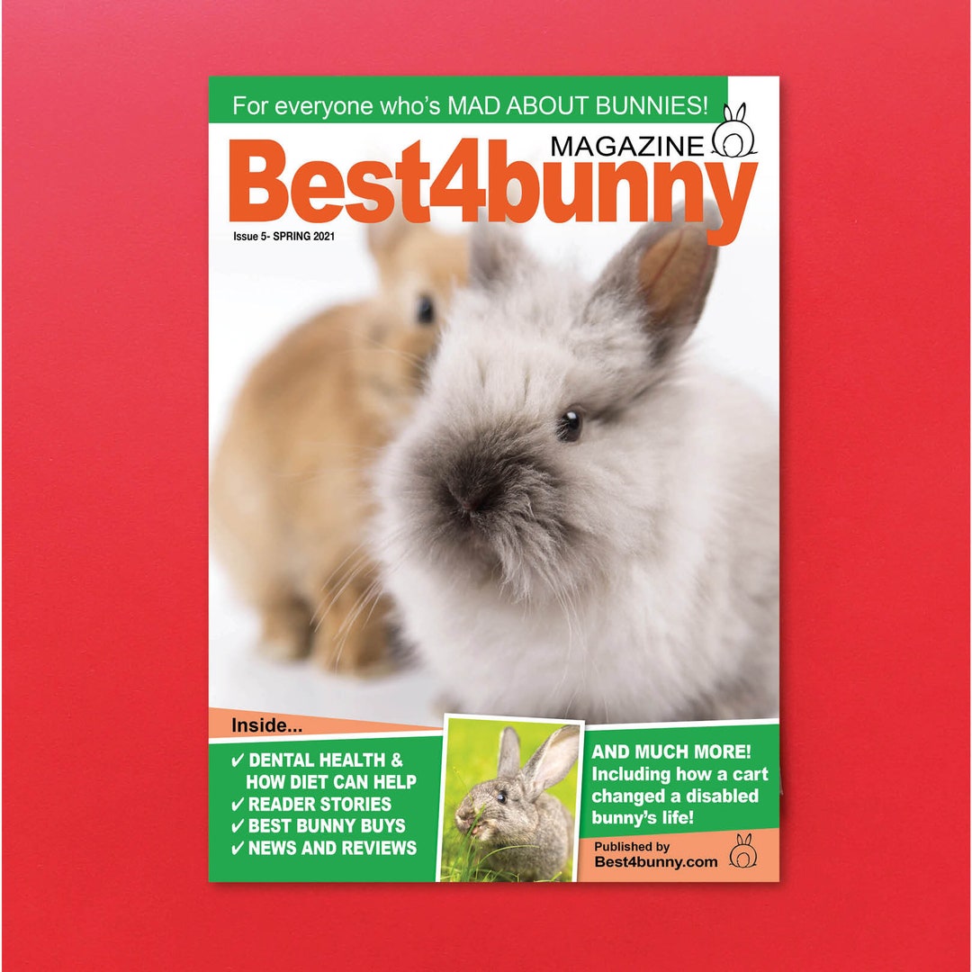 Issue 5 Best4bunny Magazine, Spring 2021 - Etsy