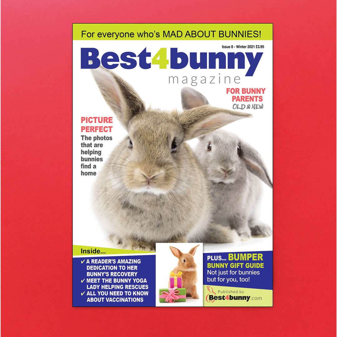 Issue 8 Best4bunny Magazine Winter 2021 - Etsy