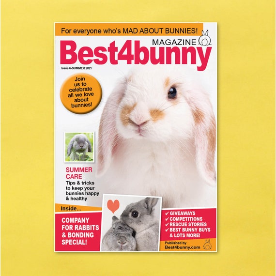 Issue 6 Best4bunny Magazine Summer 2021 | Etsy