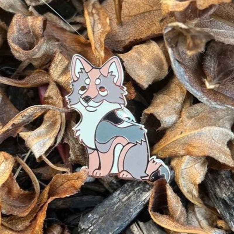 Coyote Enamel Pin - Etsy