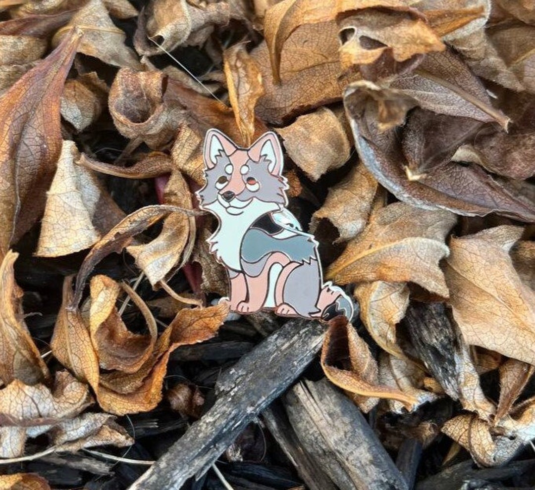 Coyote- Hard Enamel Pin - 1 Inch - Etsy