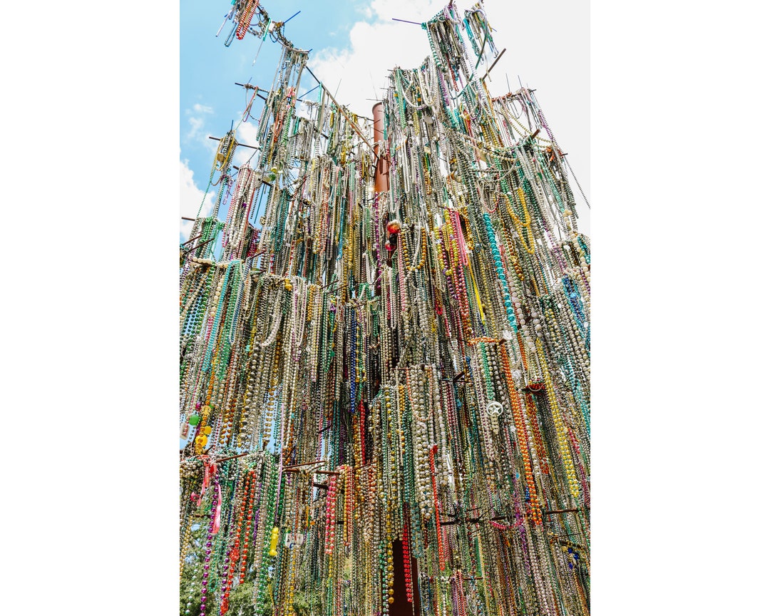 New Orleans Tulane University Mardi Gras Beads Tree, Bead Tree Uptown ...