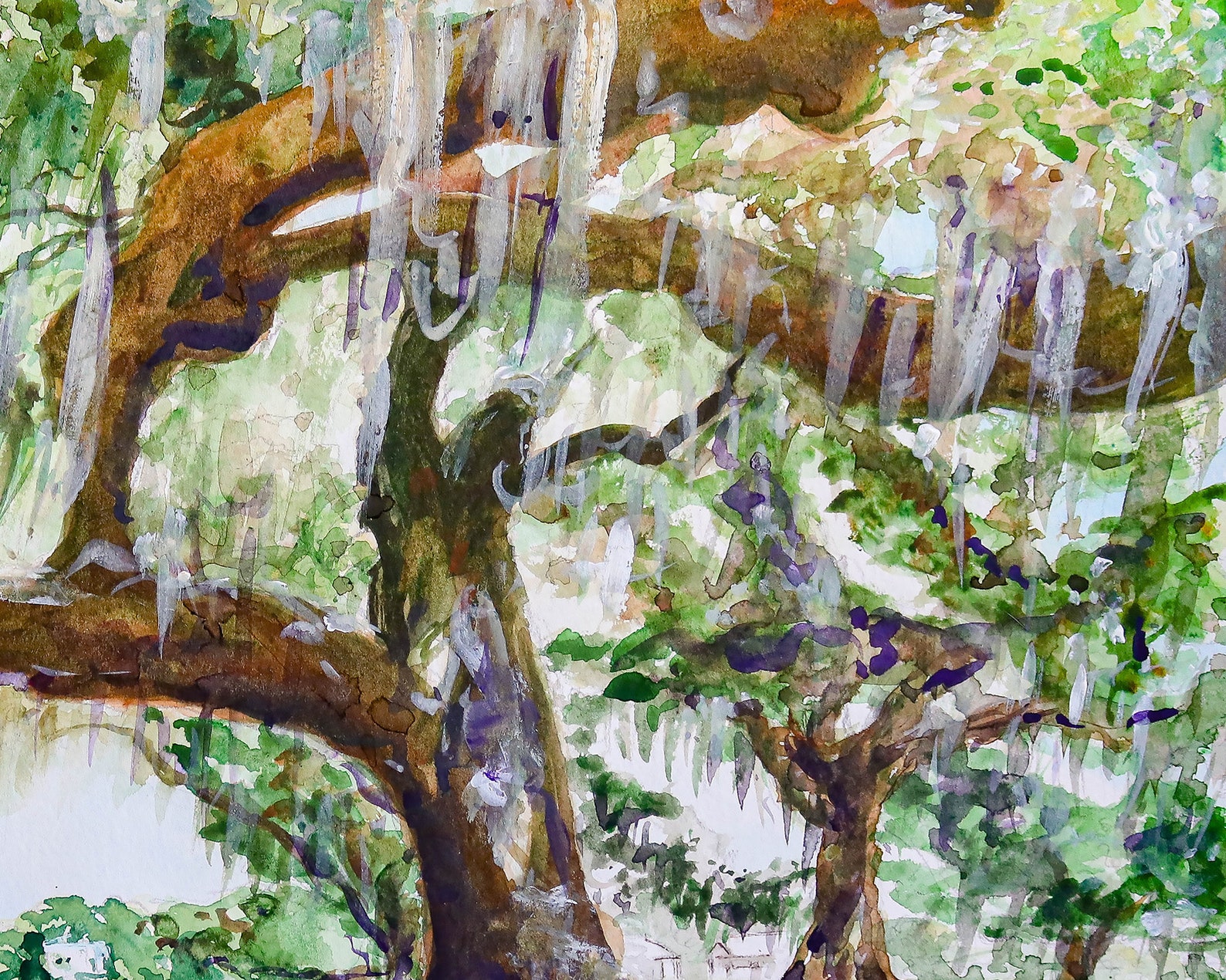 Audubon Park Live Oak Trees Watercolor Canvas Art Print: New Orleans ...