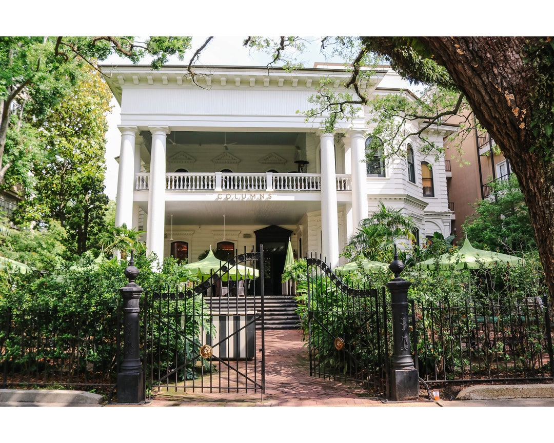 Columns Hotel and Bar, New Orleans Historic Hotel Art, Saint Charles ...
