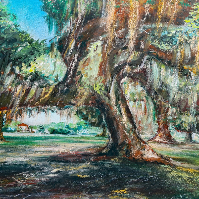 Live Oak Trees - Etsy