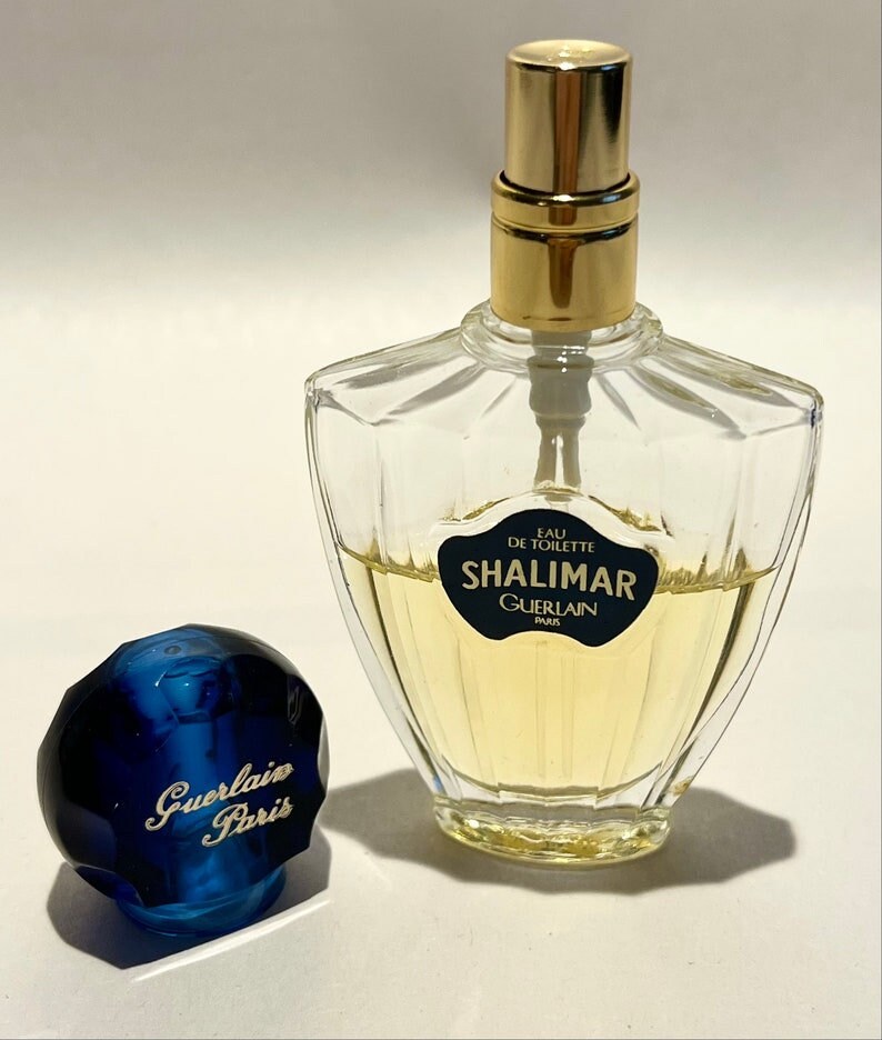 ORIGINAL Ink & Watercolor Painting Ornate Vintage-Style Shalimar ...