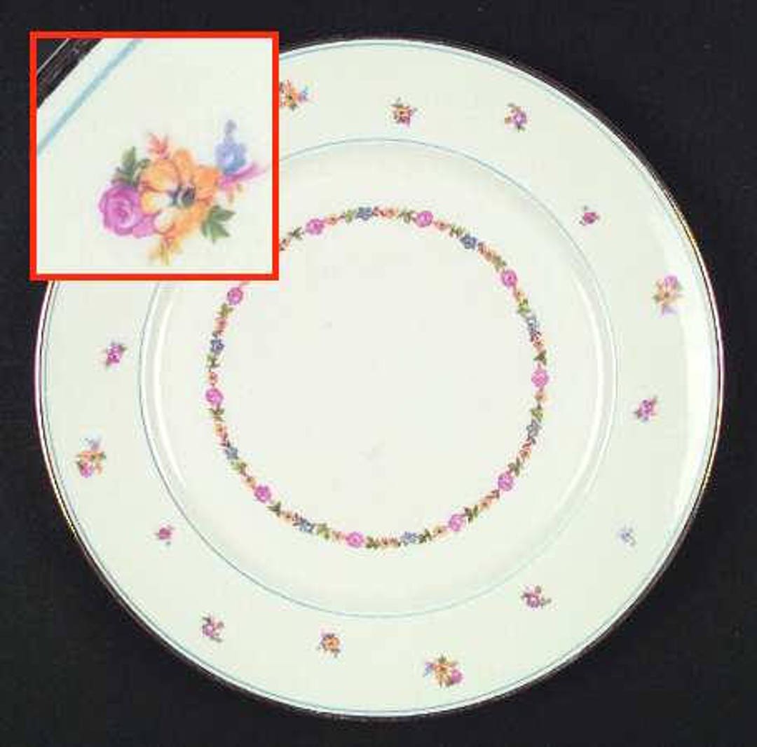 Vintage Warwick China, Pattern AB9486, Made in Wheeling, West VA, 1887 ...