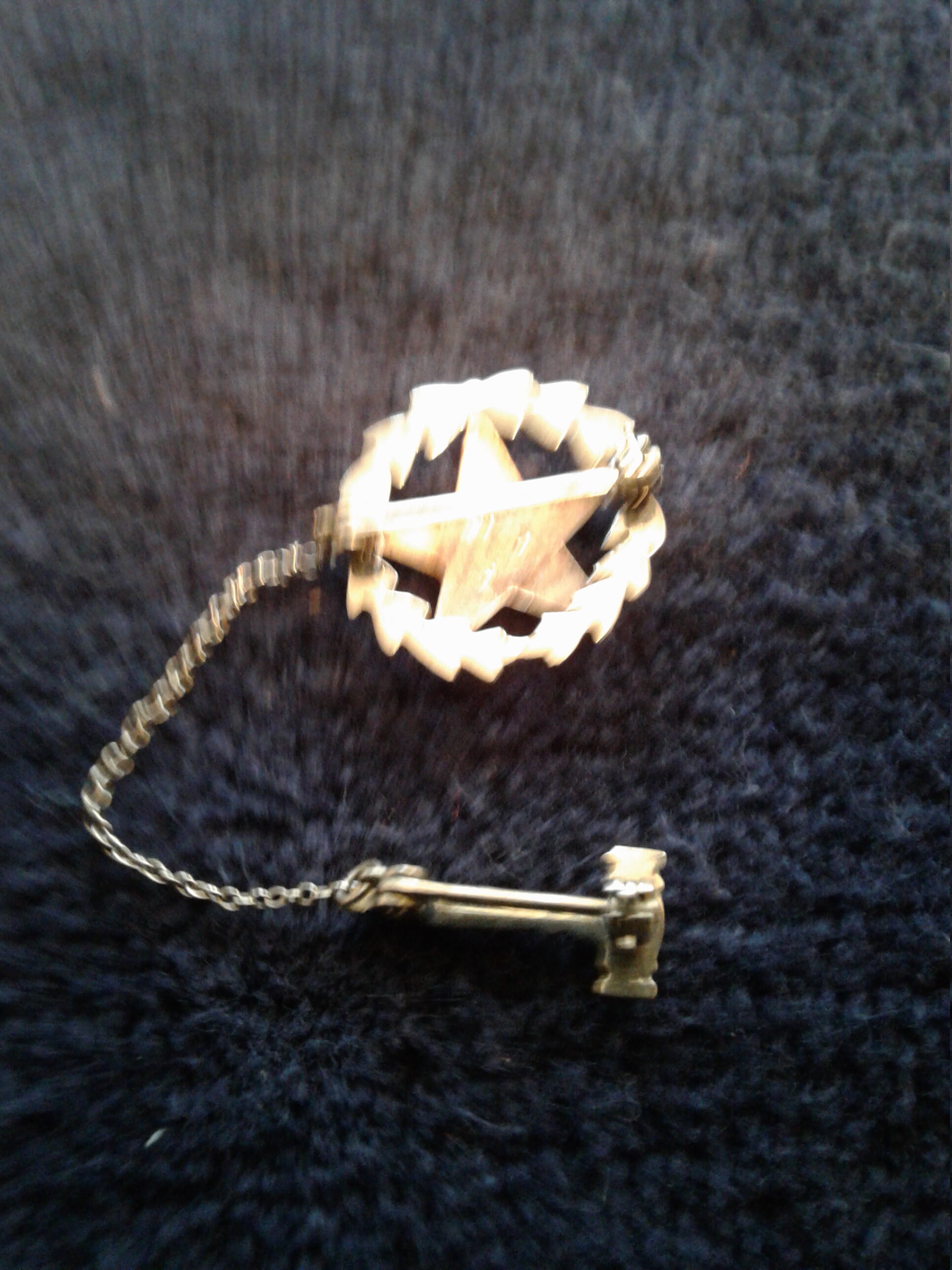 Vintage Order of the Eastern Star Pin Gavel Pin Guard 14k | Etsy