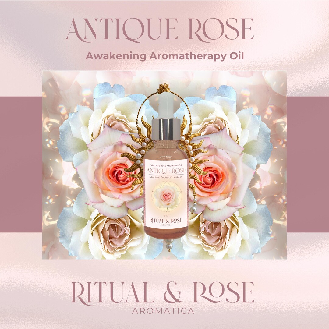 Antique Rose Anointing Oil | 10-year Vintage Rose Oil | Pure Rose Oil ...