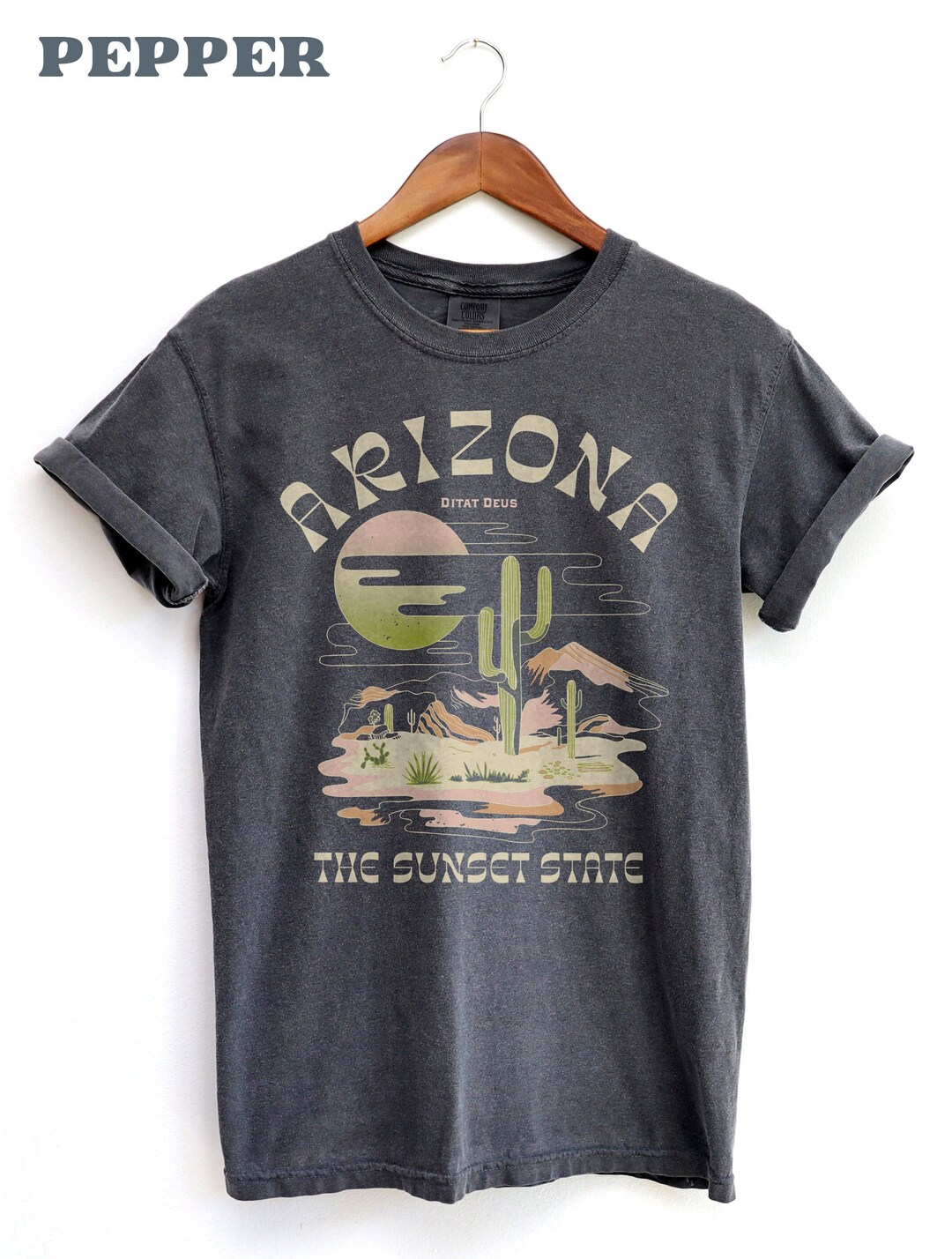 Arizona Souvenir Shirt, AZ Cactus Sunset Tshirt, Arizona Motto 'the ...
