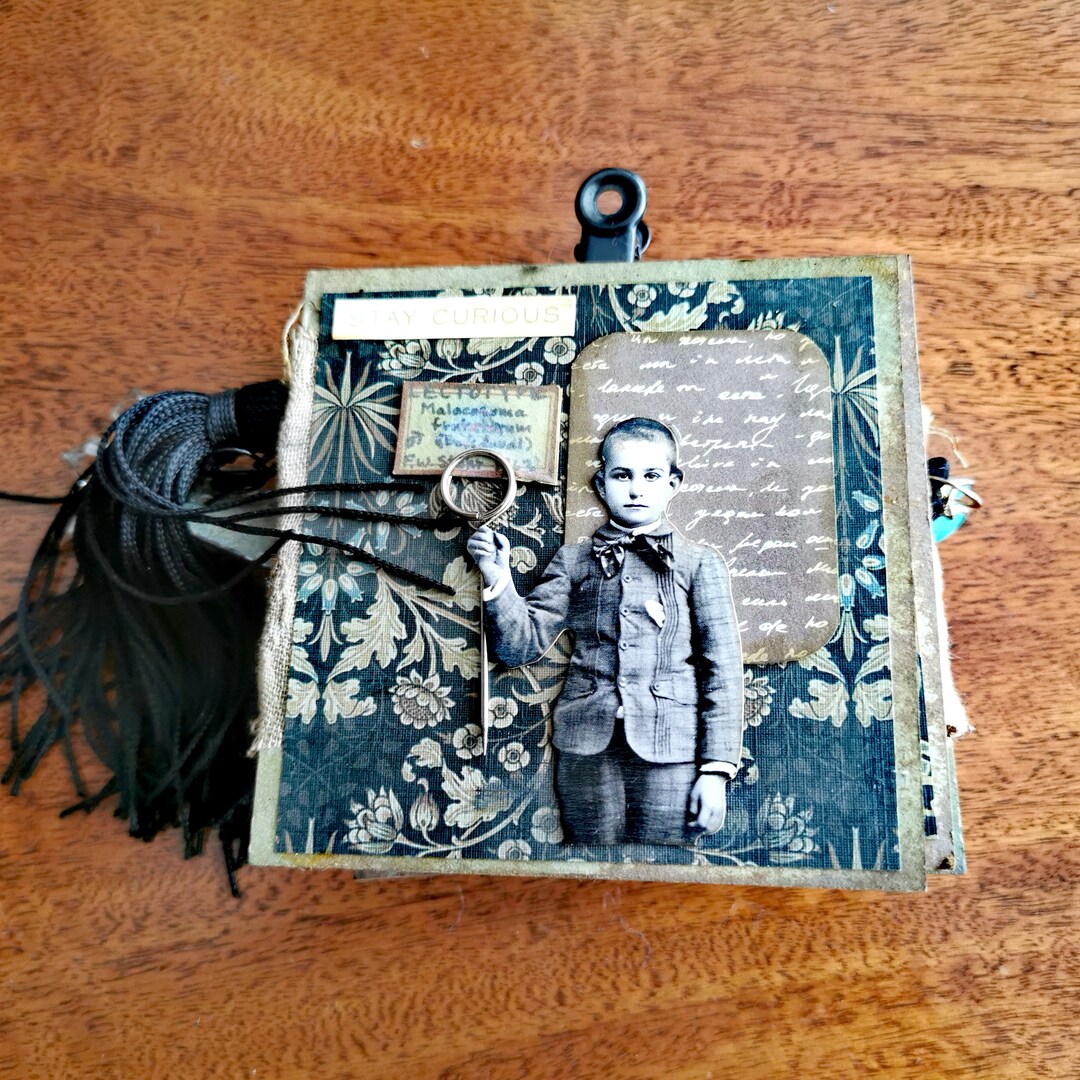 Vintage Accordion No. 2/ Concertina Book Vintage Papers / Unique Style ...