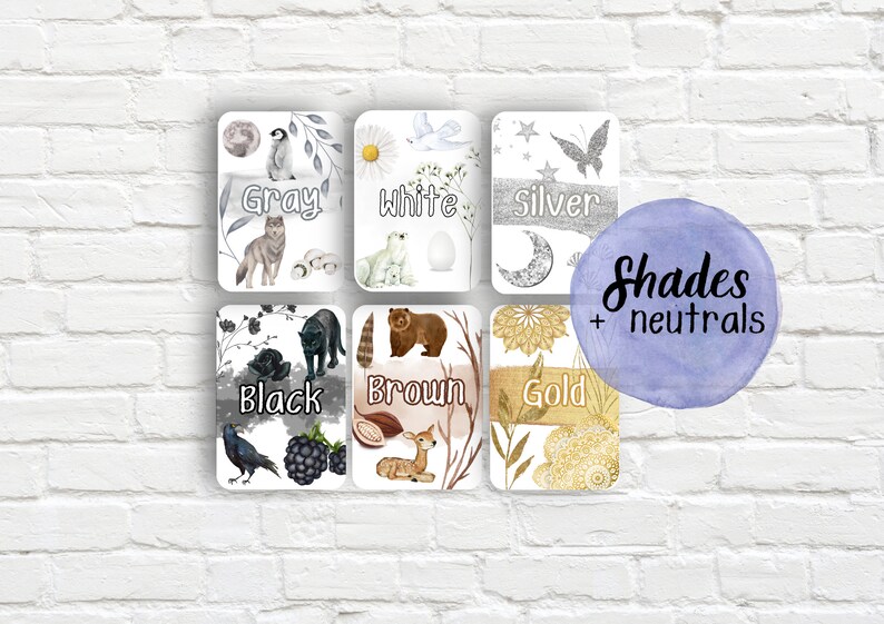 Flashcards for Kids Printable Color Learning Cards for Classroom ...