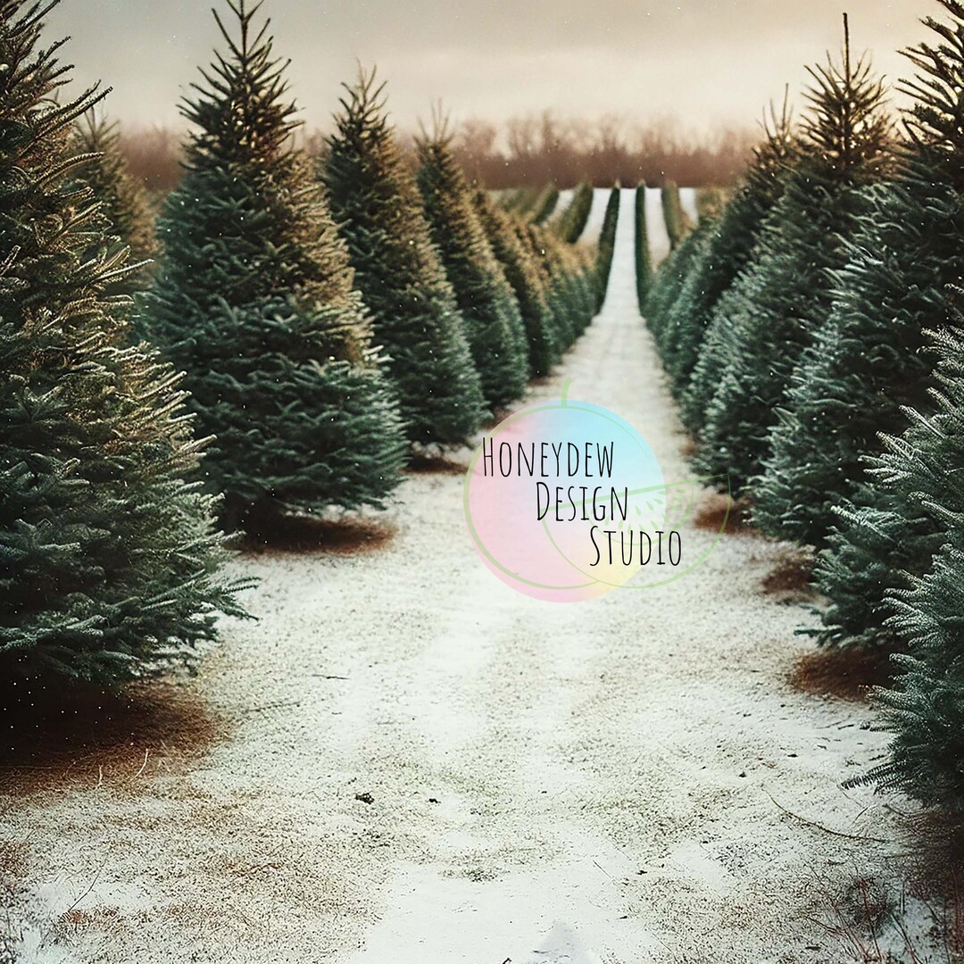 Christmas Tree Farm Digital Backdrop | Holiday Photography Background ...
