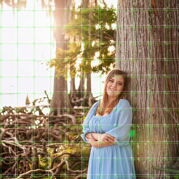 Proof Grid Overlay Watermark - Etsy