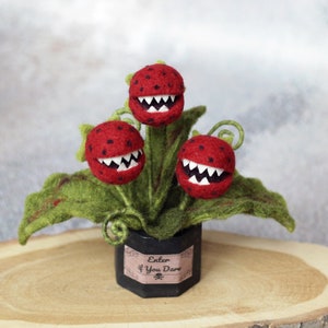 Venus Flytrap Plant, Cute or Scary Gift, Carnivorous Plant, Creepy ...
