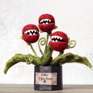 Venus Flytrap Plant, Cute or Scary Gift, Carnivorous Plant, Creepy ...