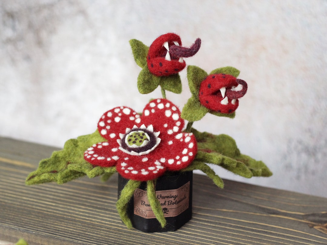 Halloween Decor, Spooky Plants, Monster Plant, Witchy Decor, Rafflesia ...