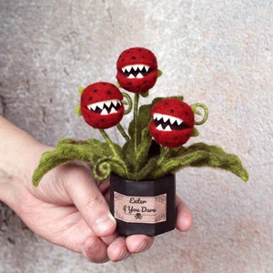 Venus Flytrap Plant, Cute or Scary Gift, Carnivorous Plant, Creepy ...