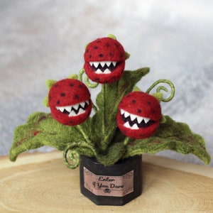 Venus Flytrap Plant, Cute or Scary Gift, Carnivorous Plant, Creepy ...