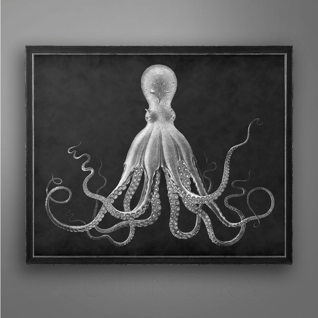 Octopus Print - Vintage Fine Art - Octopus Art - Octopus Picture ...