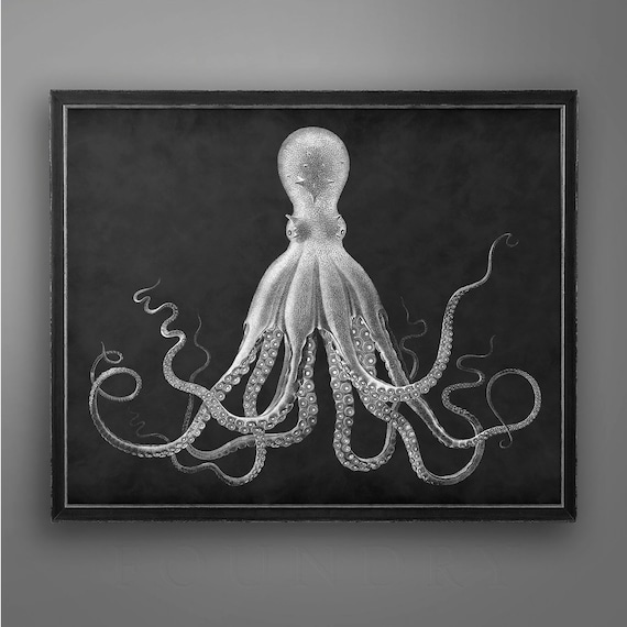 Octopus Print Vintage Fine Art Octopus Art Octopus - Etsy