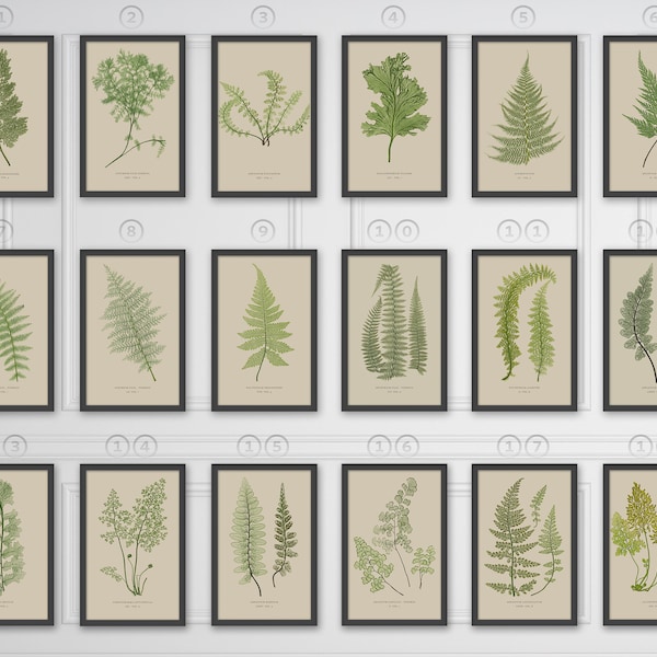 Botanical Fern Art - Etsy