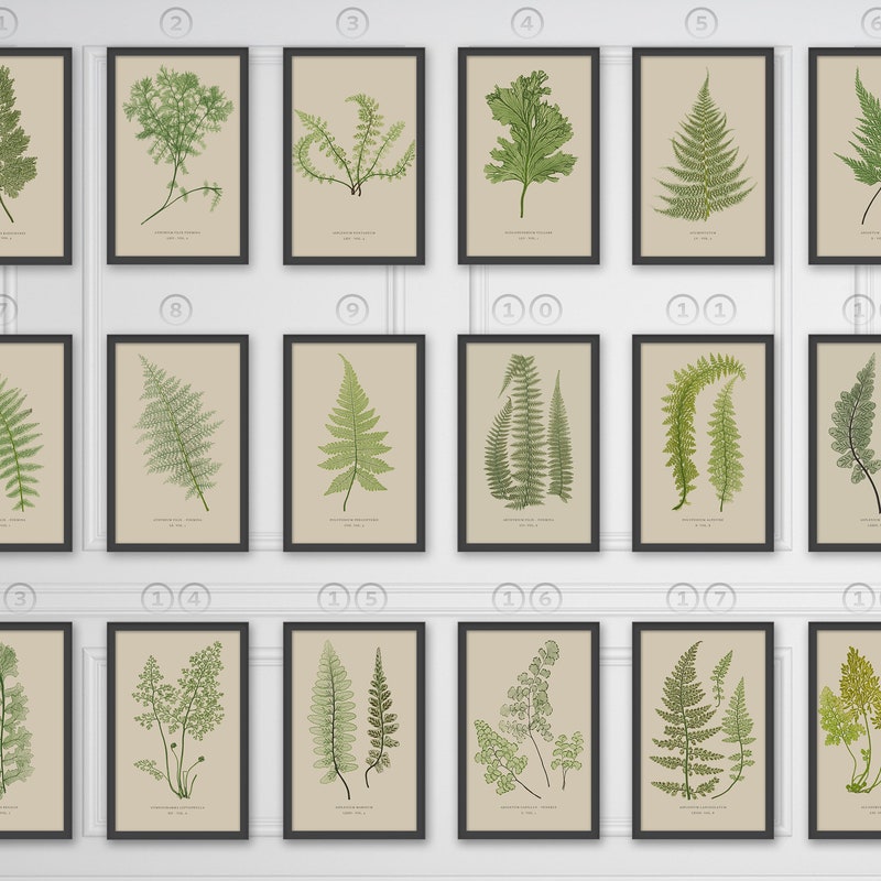 Fern Print - Etsy