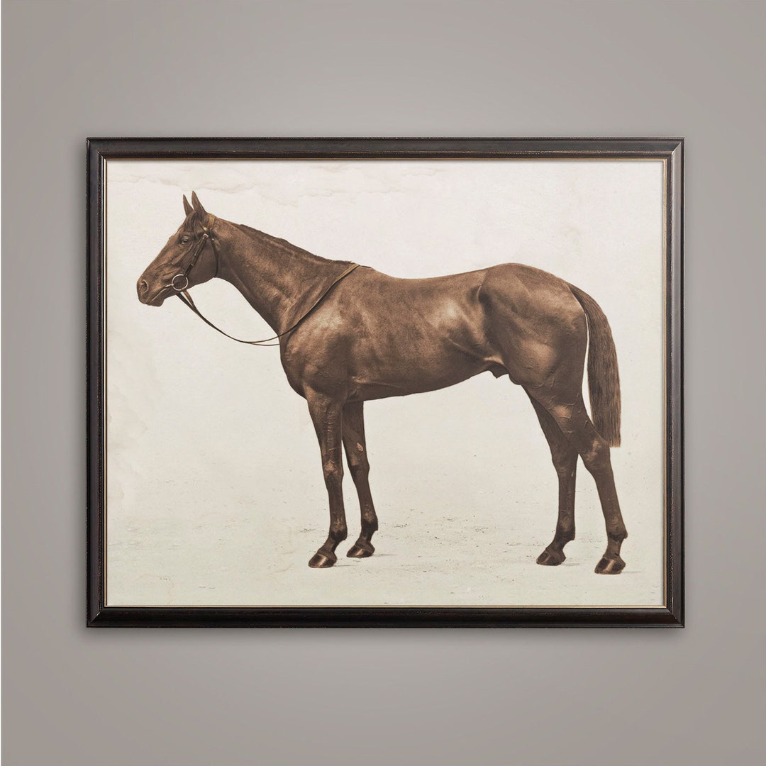 Vintage Sepia Horse Print: King Windsor, 1927 Epsom Derby - Etsy