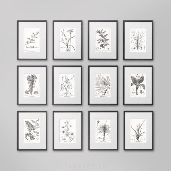 Botanical Decor - Etsy