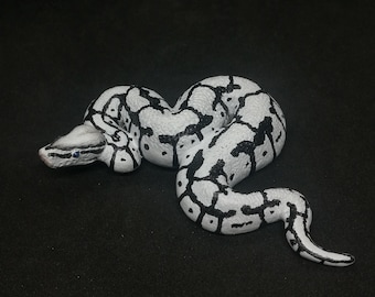 axanthic killer clown ball python
