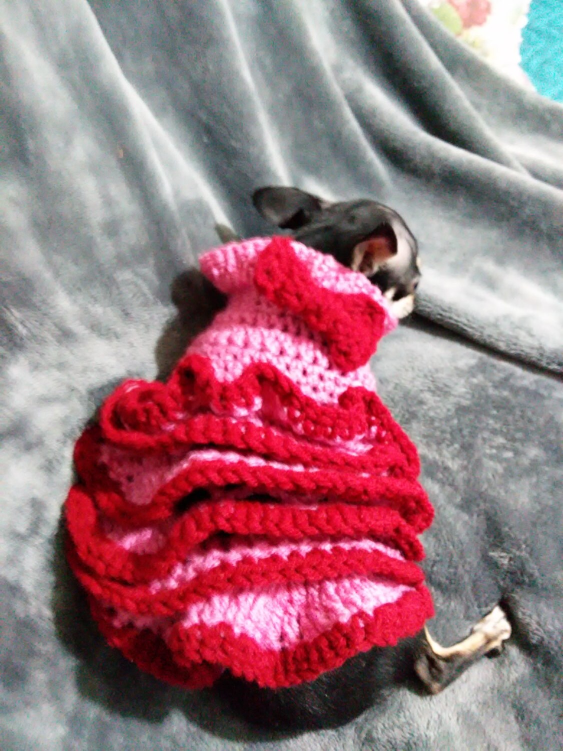 Love dress for puppy | Etsy