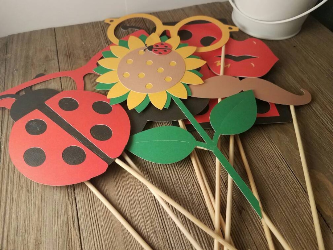 Lady Bug Birthday, Lady Bug 1st Birthday, Lady Bug Baby Shower, Ladybug ...