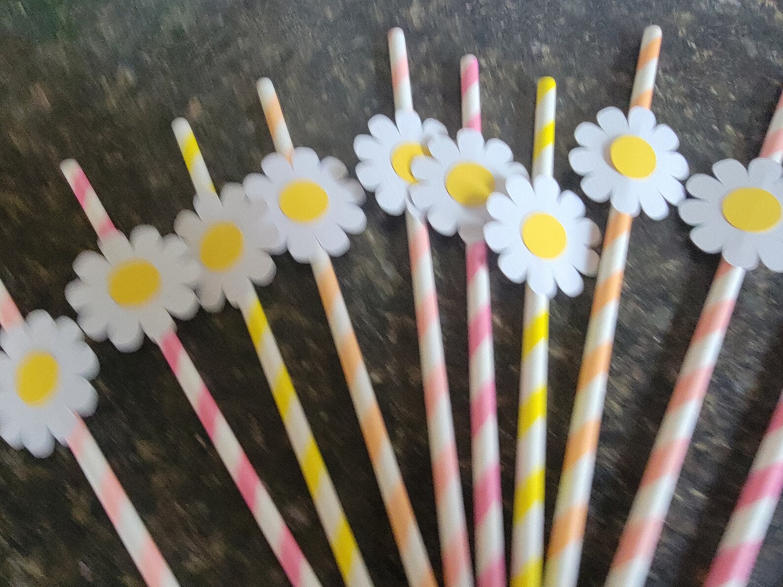 Daisy Paper Straws, Eco-friendly Party Decorations, Groovy One Themed ...