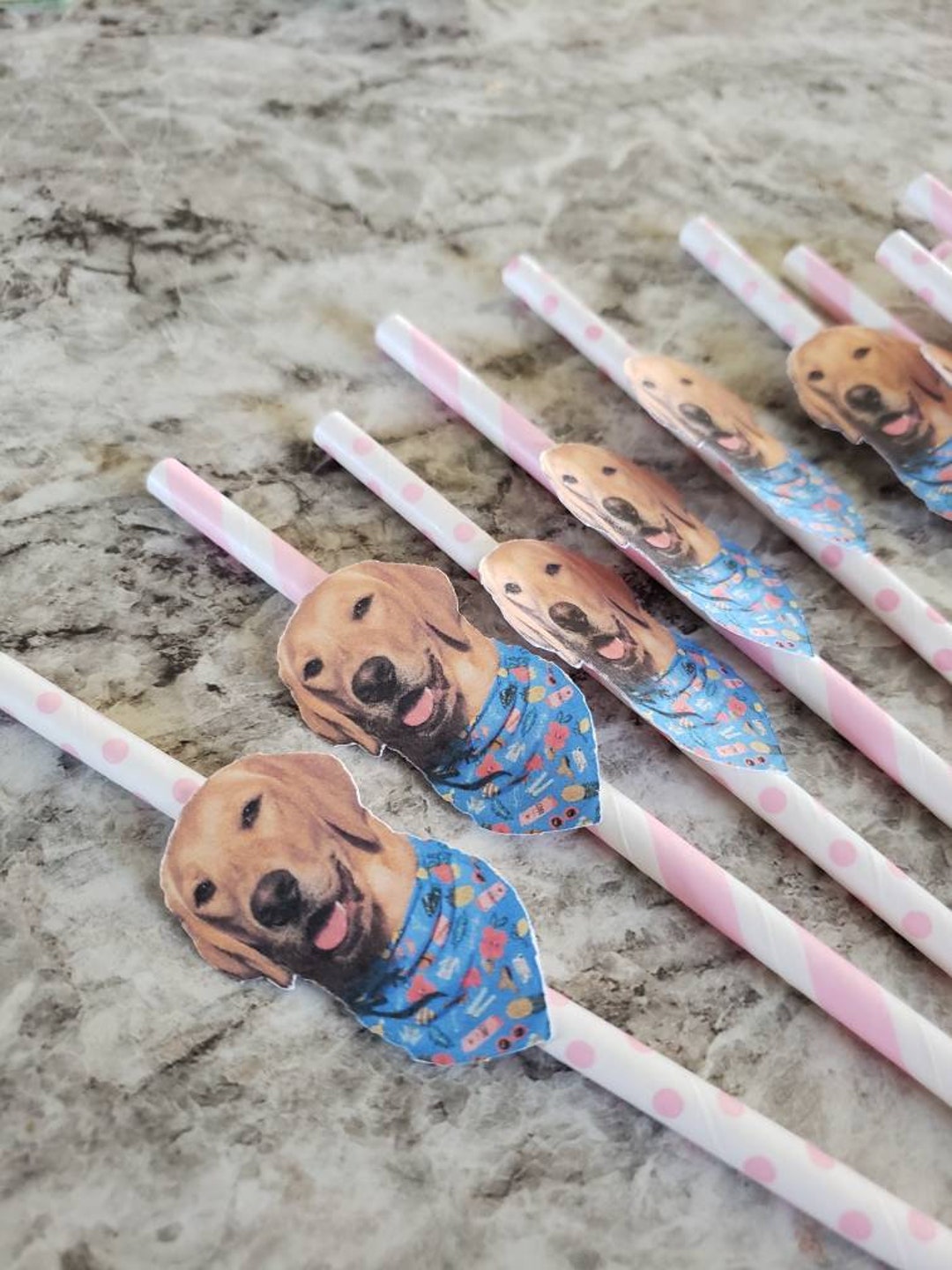 Custom Pet Straws, Dog Decorations, Personalized Photo 12 Count Paper ...