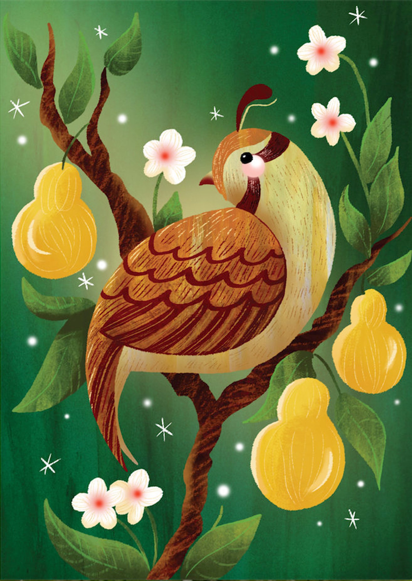 Partridge in a Pear Tree - Christmas Card - Etsy