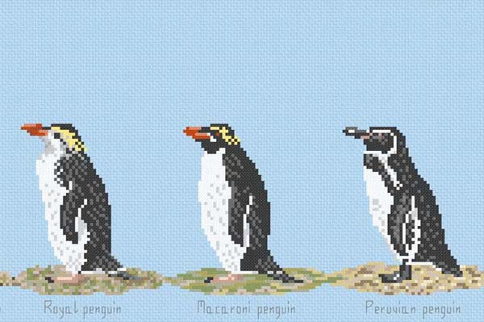 Cross Stitch Chart Download 'penguin Paradise' - Etsy UK