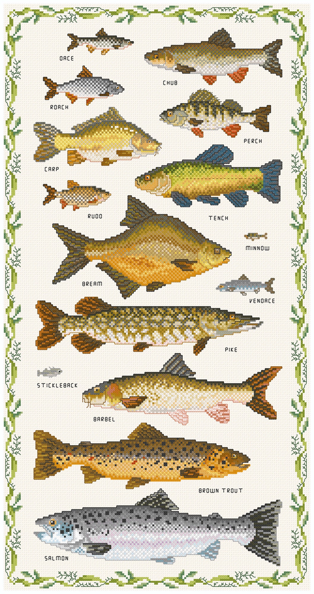 From Source to Sea - Freshwater Fish Sampler - Etsy