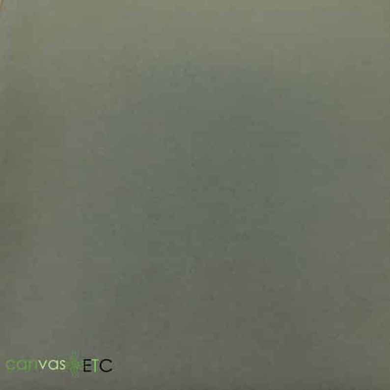 500 Denier Cordura Nylon | Ranger Green | 60" Width | DTL-32439A TYPE 3 ...