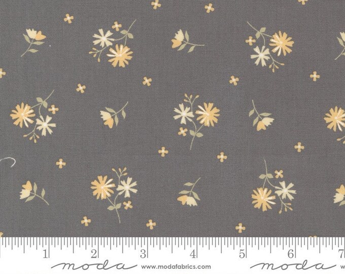 Buttercup and Slate Daisy Oh Slate by Corey Yoder for Moda Fabrics ...